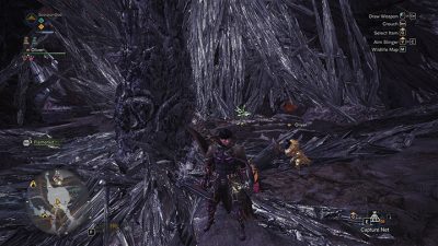 Monster Hunter World Map — Each MHW Location Explained by GT